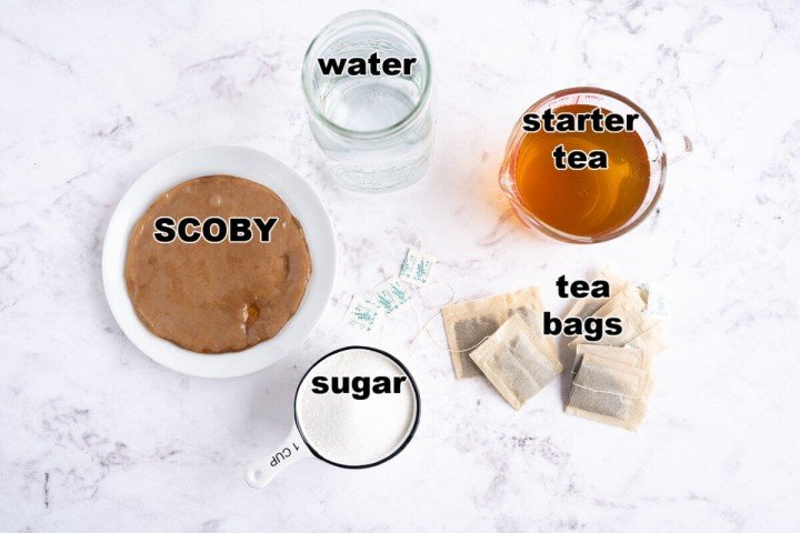 Kombucha Recipe (A Simple Guide)- Art From My Table