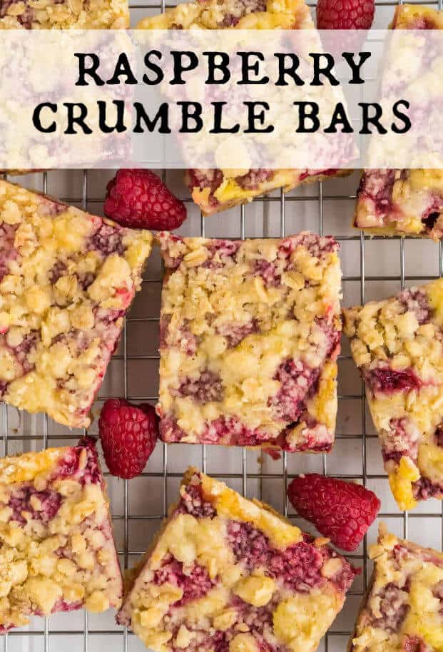 Raspberry Bars - Art From My Table